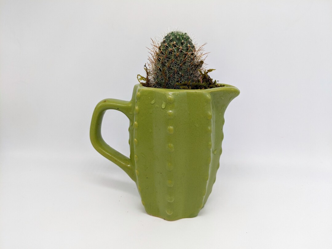 Small Cactus Pitcher With Live Cactus | Ceramic Cactus Pitcher - Etsy