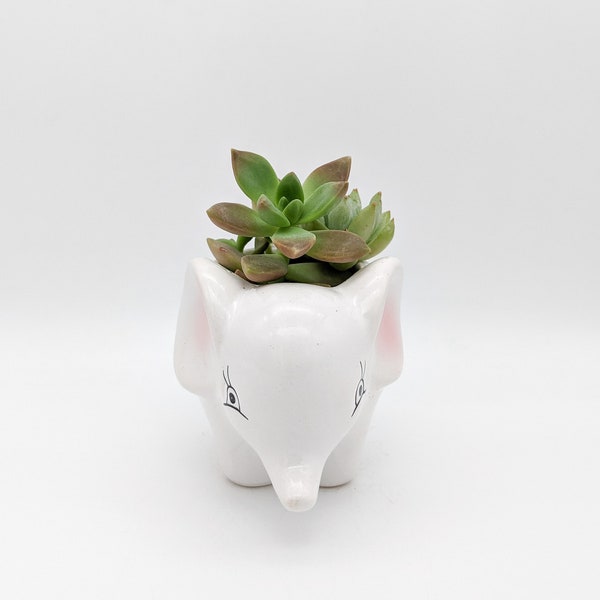 Elephant Pot - Etsy