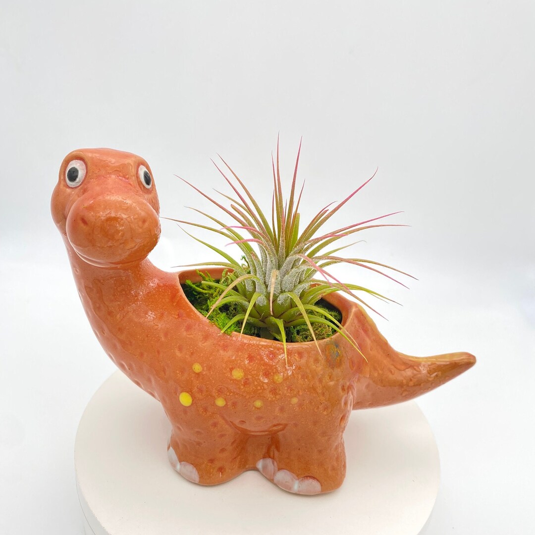 Cute Ceramic Dinosaur Planter | Ceramic Planter for Air Plant | Animal ...