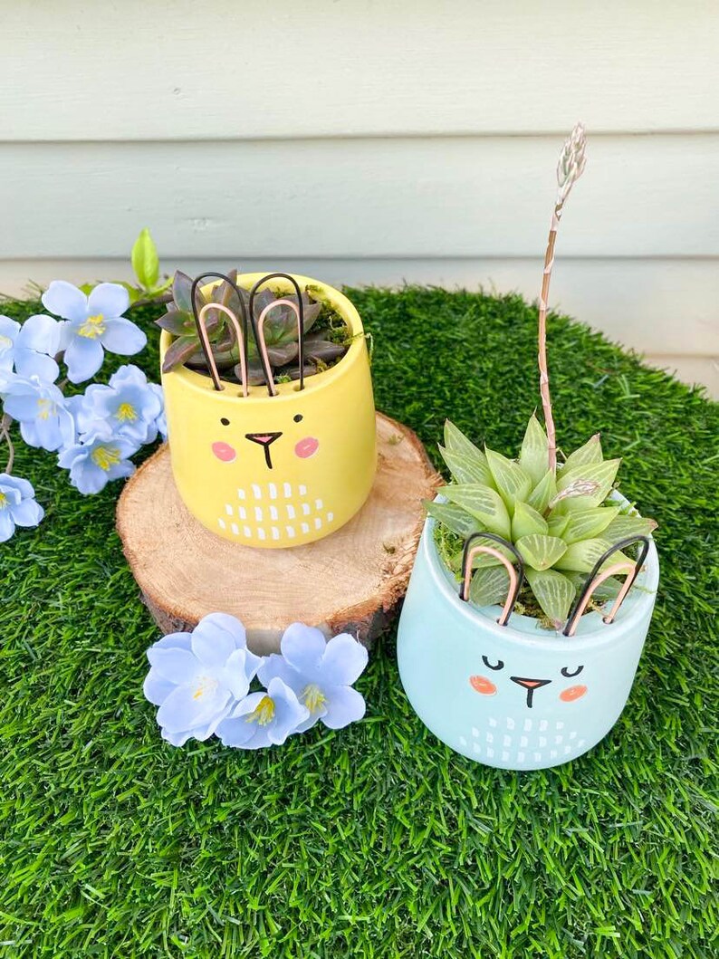 Easter Bunny Planter Set With Live Succulents Spring Easter - Etsy