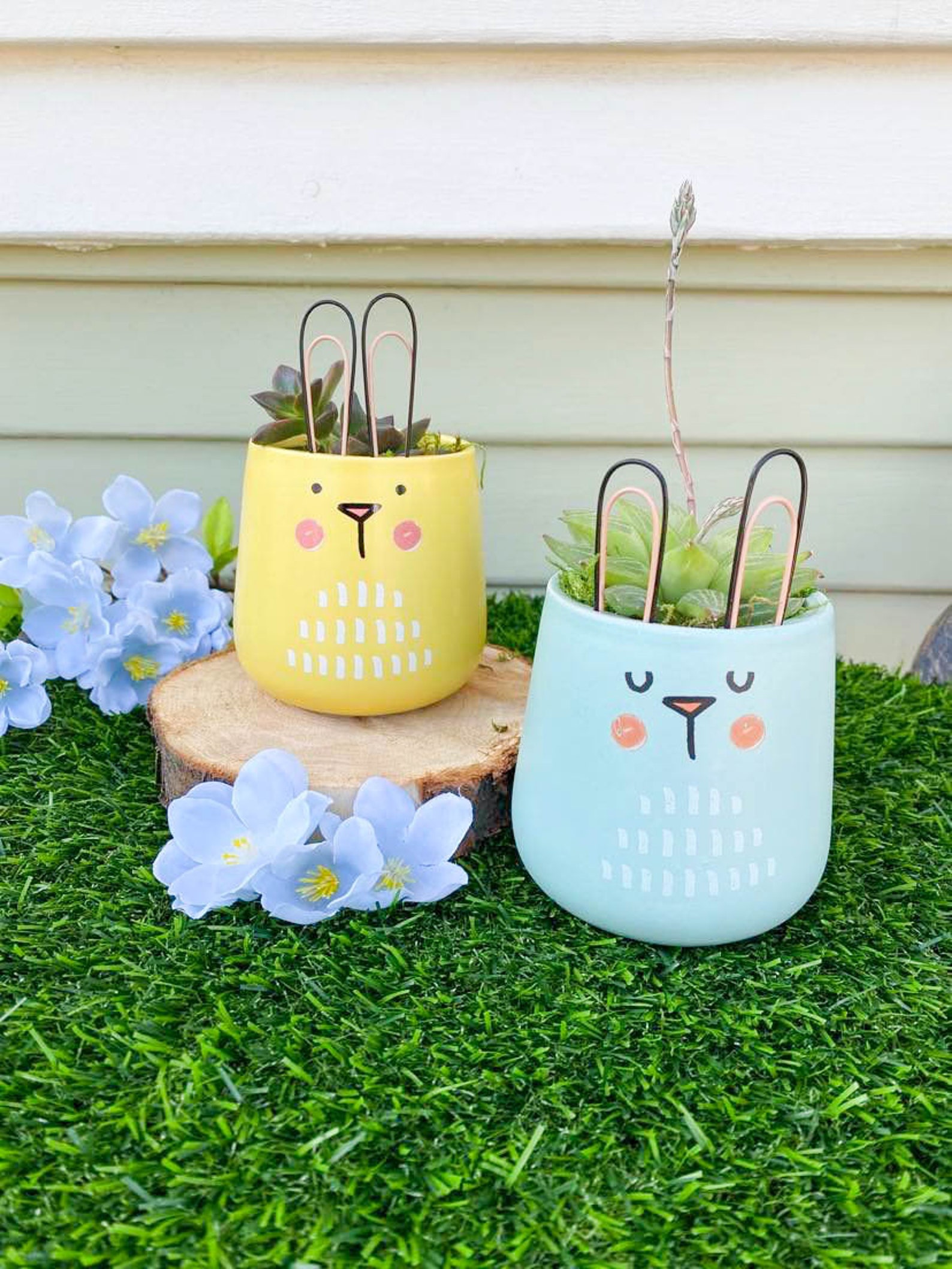 Easter Bunny Planter Set With Live Succulents Spring Easter - Etsy