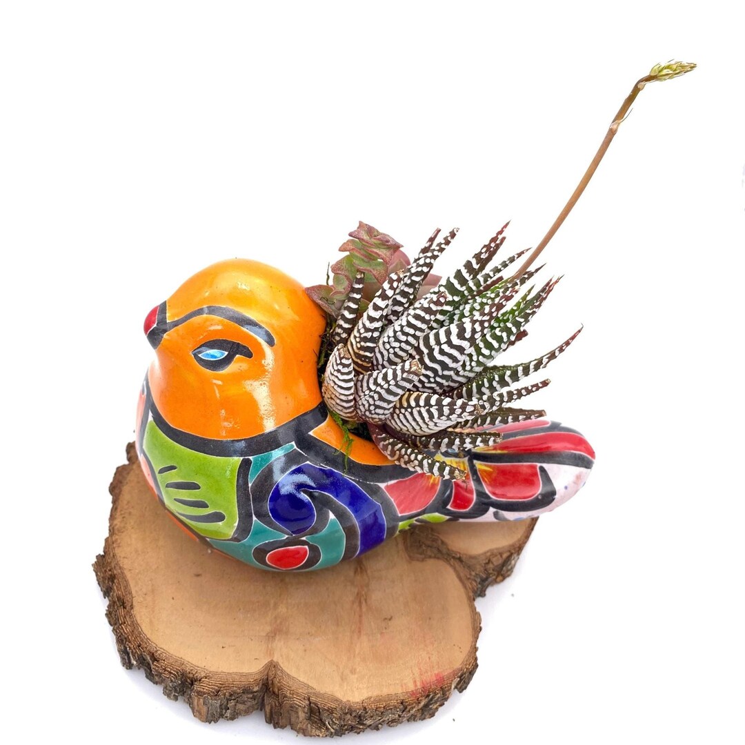 Orange Bird Ceramic Succulent Planter | Mexican Ceramic Pottery With ...