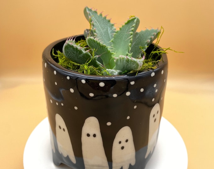 Boo Spooky Ghost Pot Succulent & Air Plant Halloween Gift Ghost Planter ...
