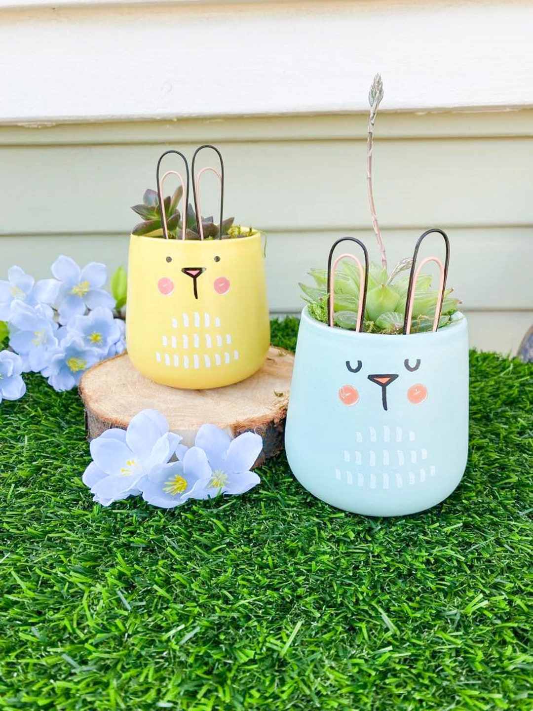 Easter Bunny Planter Set With Live Succulents | Spring Easter Decor ...