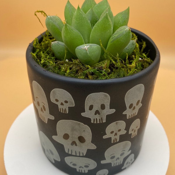 Skull Planter - Etsy