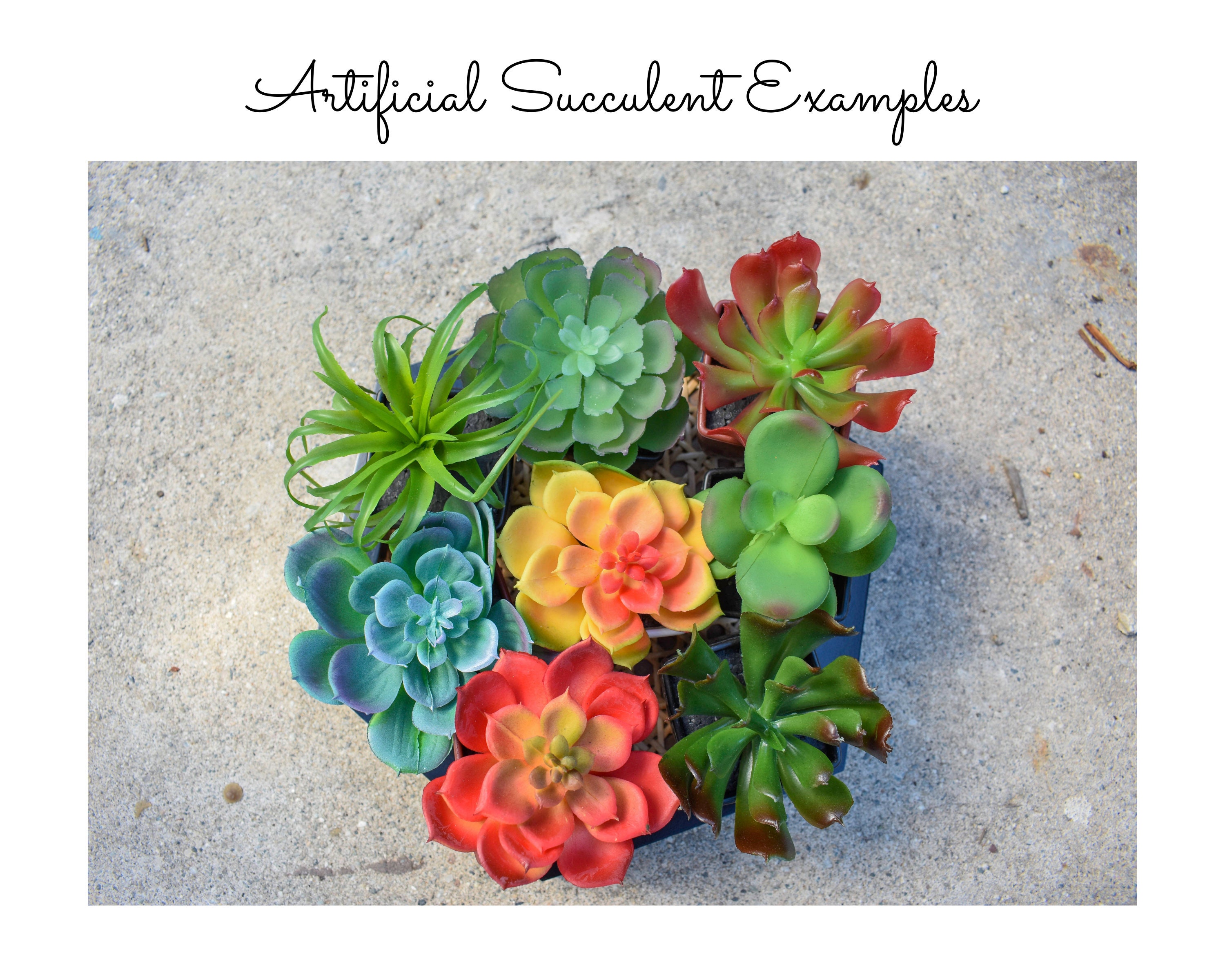 Cow Planter With Succulent Animal Planter With Live Plant - Etsy