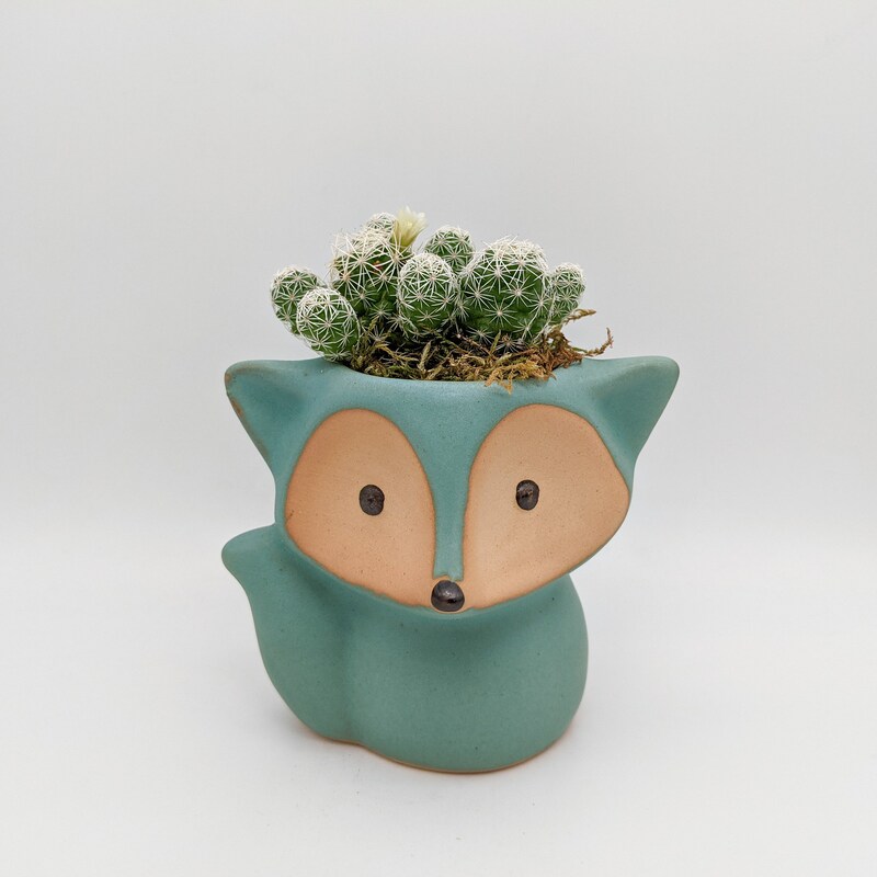 Animal Planters - Etsy