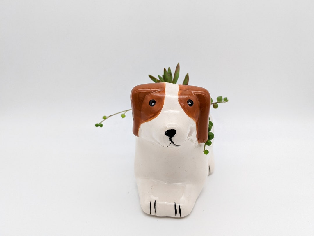Dog Planter With Succulent | Animal Planter With Live Plant | Succulent ...