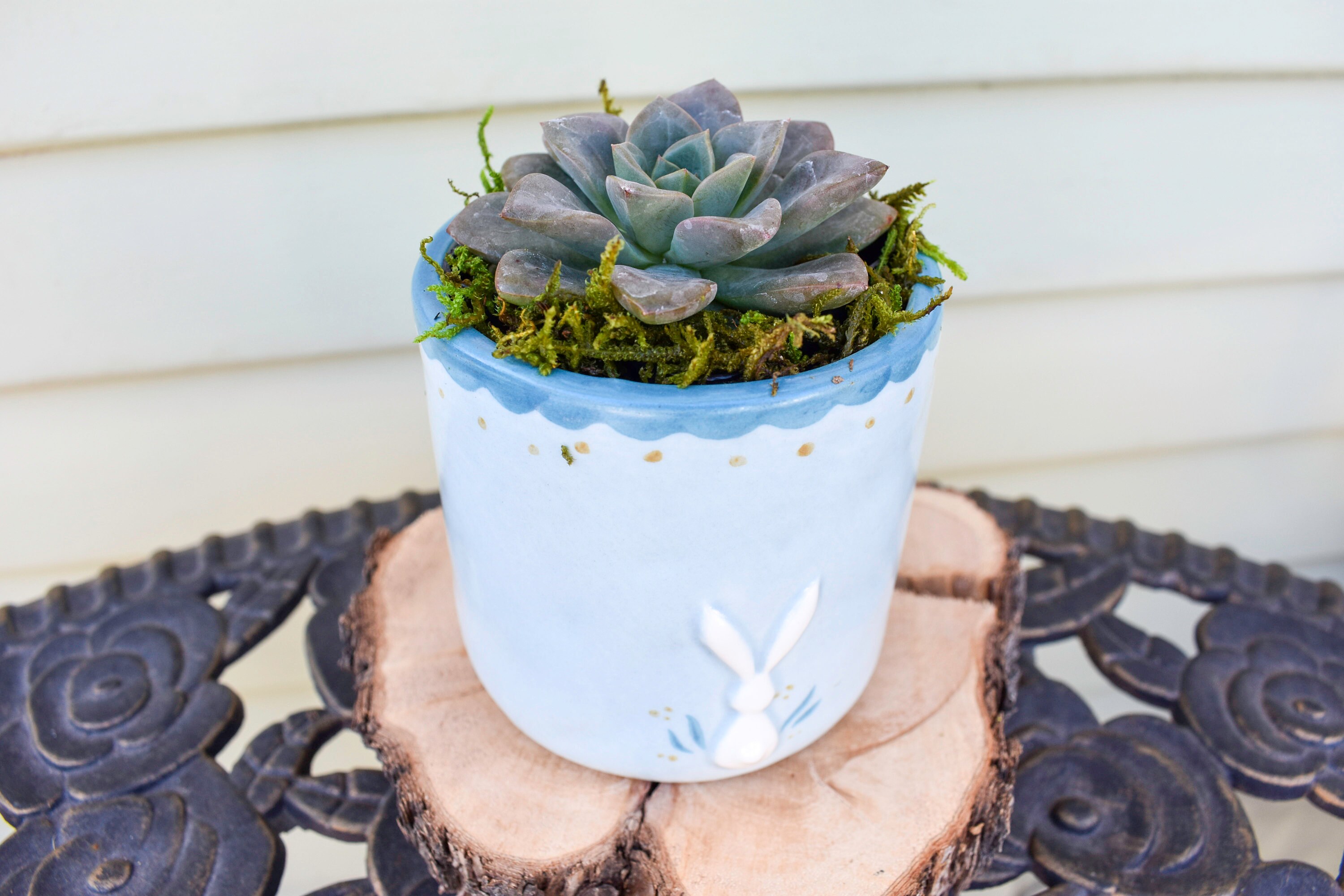 Blue Bunny Ceramic Pot With Live Succulent | Small Light Blue Animal ...