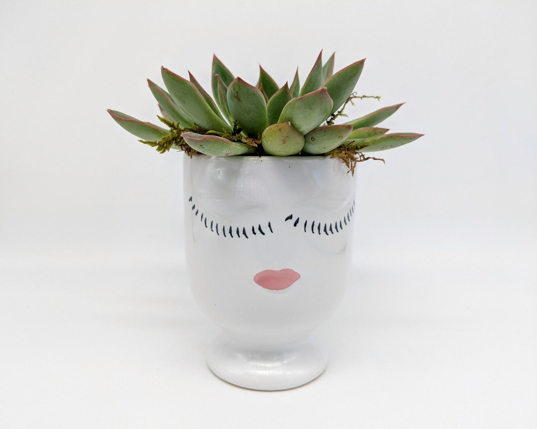 Face Pot With Live Succulent | Small Face Pot Planter - Etsy