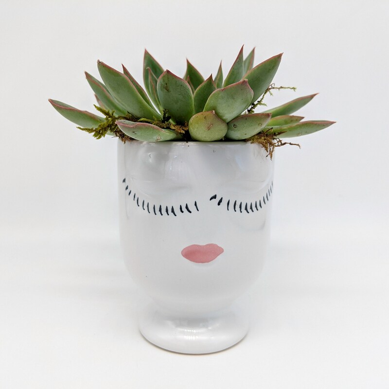 Face Pot - Etsy