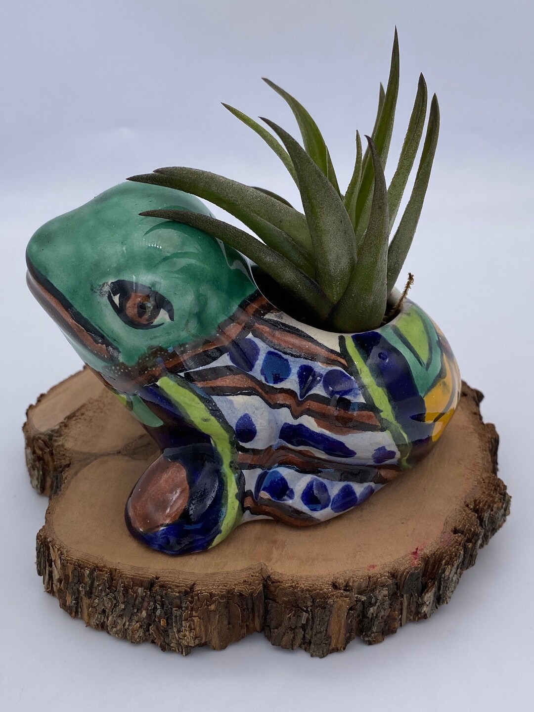 Colorful Talavera Frog Shaped Succulent Planter | Decorated With a ...