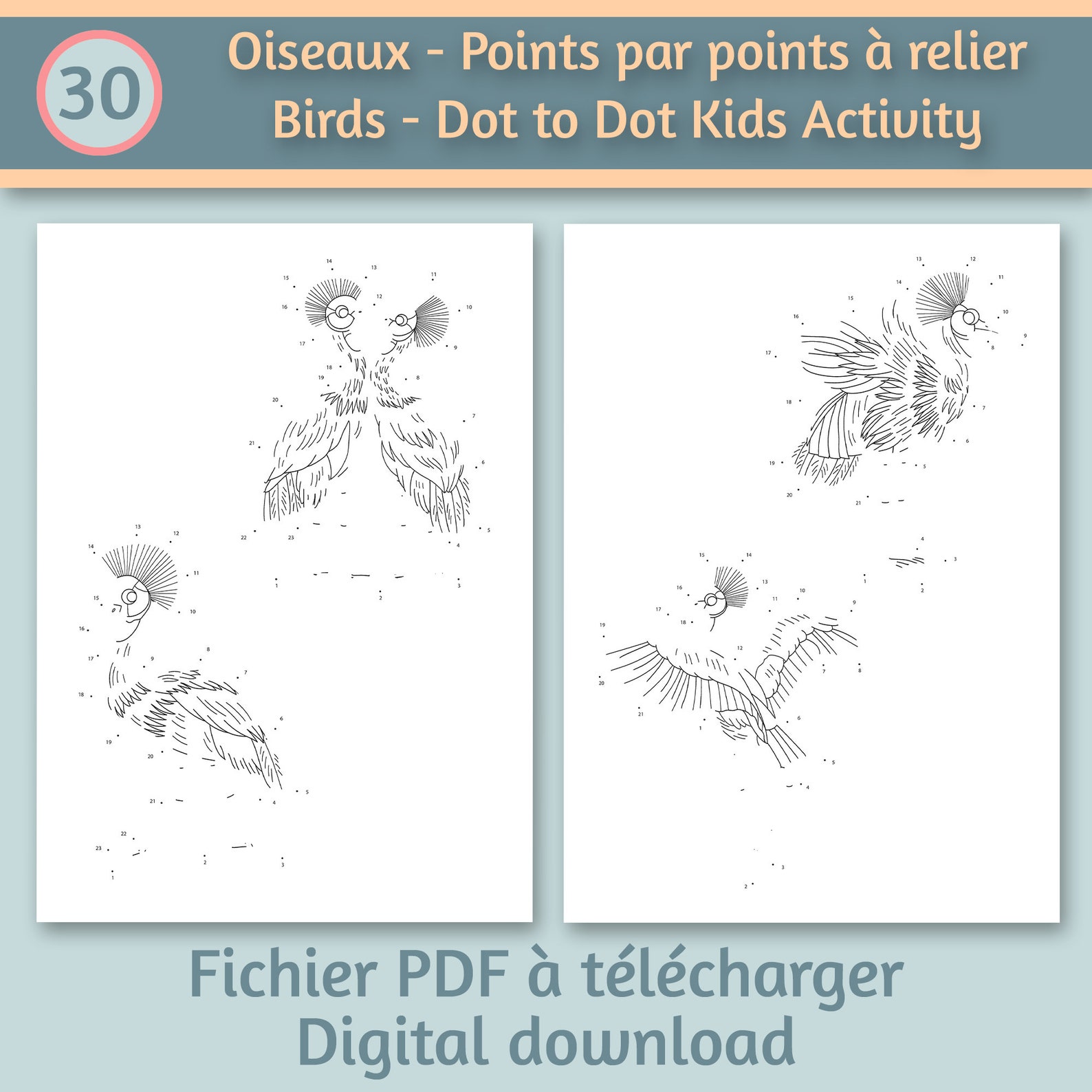 30 Birds Dot to Dot for Kids | Dot to Dot Printable PDF | Dot to Dot ...