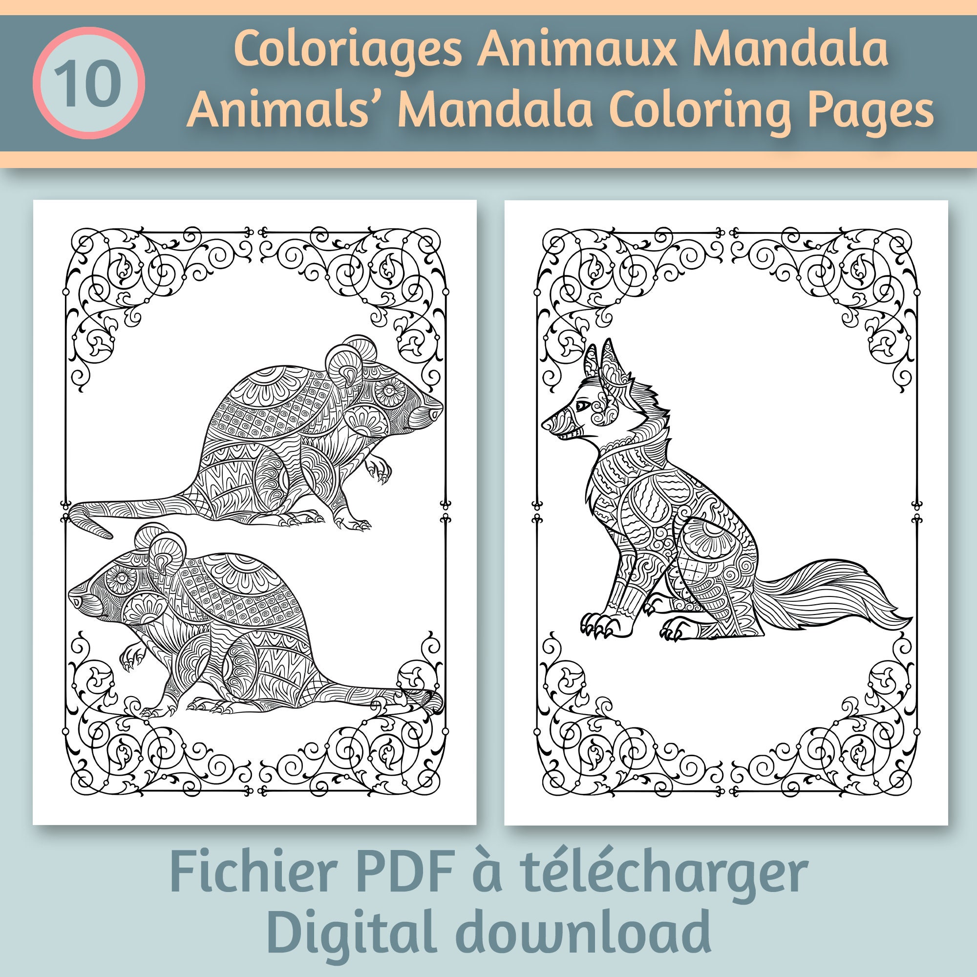 10 Farm Animal Mandalas Coloring Book Adult Coloring Book - Etsy