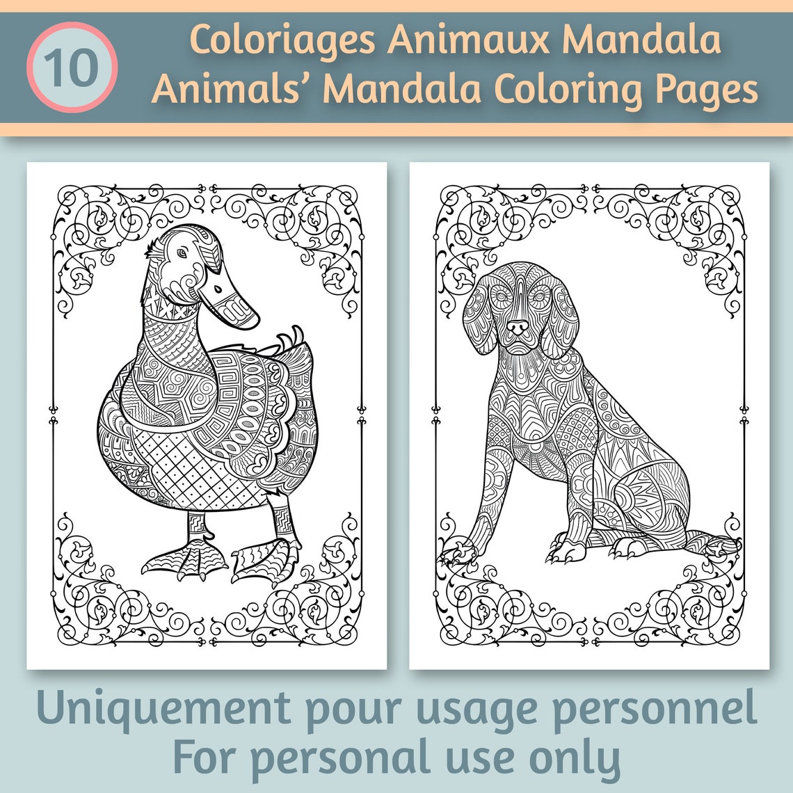 10 Farm Animal Mandalas Coloring Book Adult Coloring Book - Etsy UK