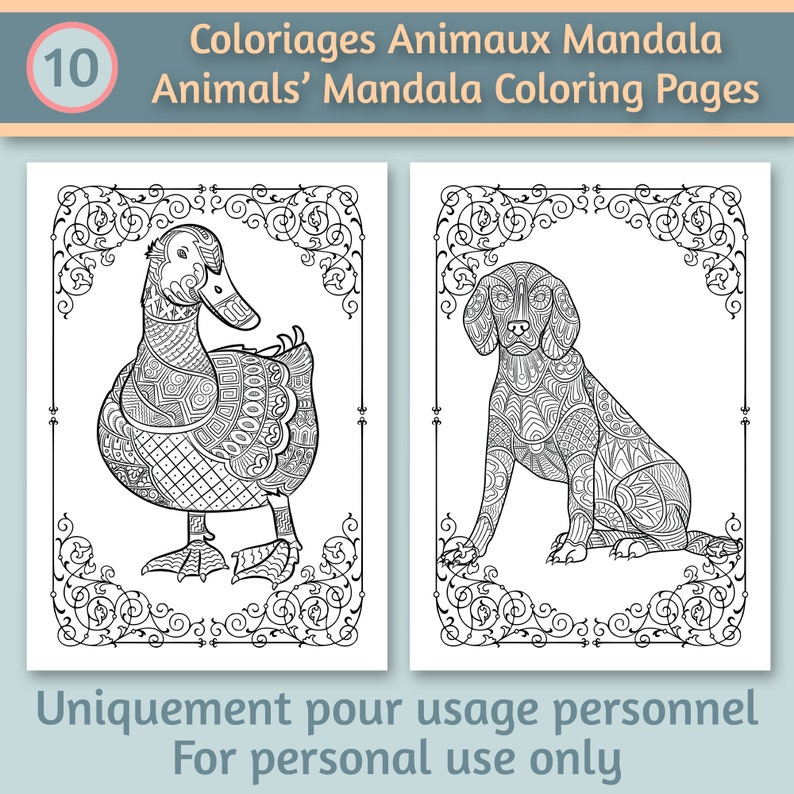 10 Farm Animal Mandalas Coloring Book Adult Coloring Book - Etsy