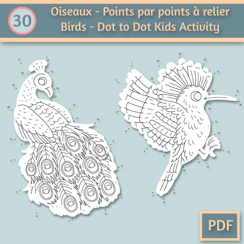 30 Birds Dot to Dot for Kids | Dot to Dot Printable PDF | Dot to Dot ...