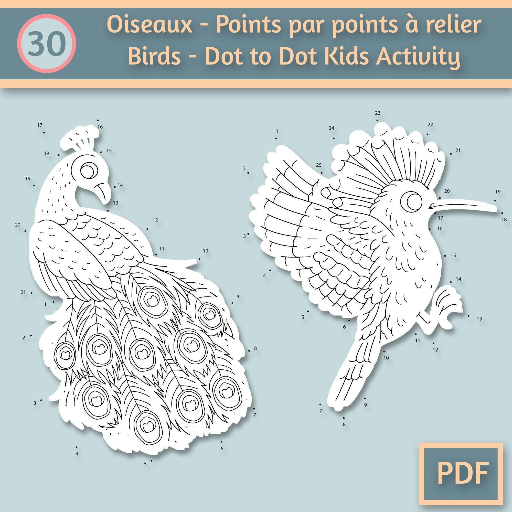 30 Birds Dot to Dot for Kids | Dot to Dot Printable PDF | Dot to Dot ...
