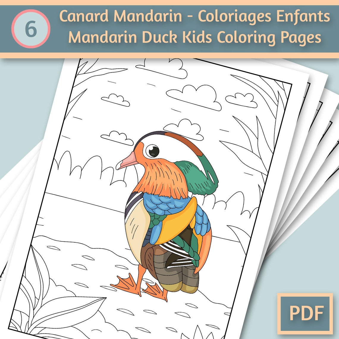 6 Mandarin Duck Birds Coloring Pages for Kids Coloring Book for Kids ...