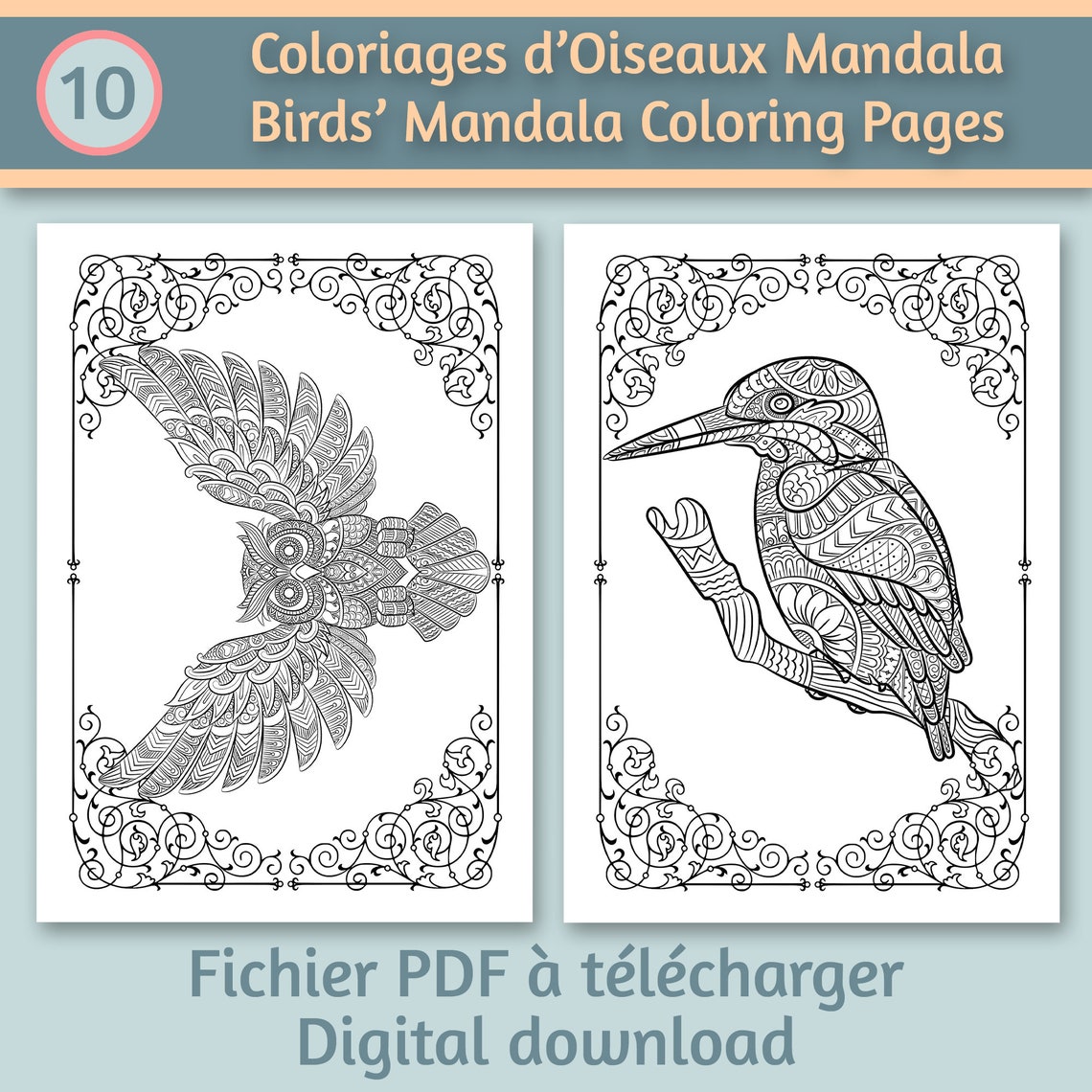 10 Coloring Birds Mandala | Coloring Book Adult | Coloring Book Pdf ...