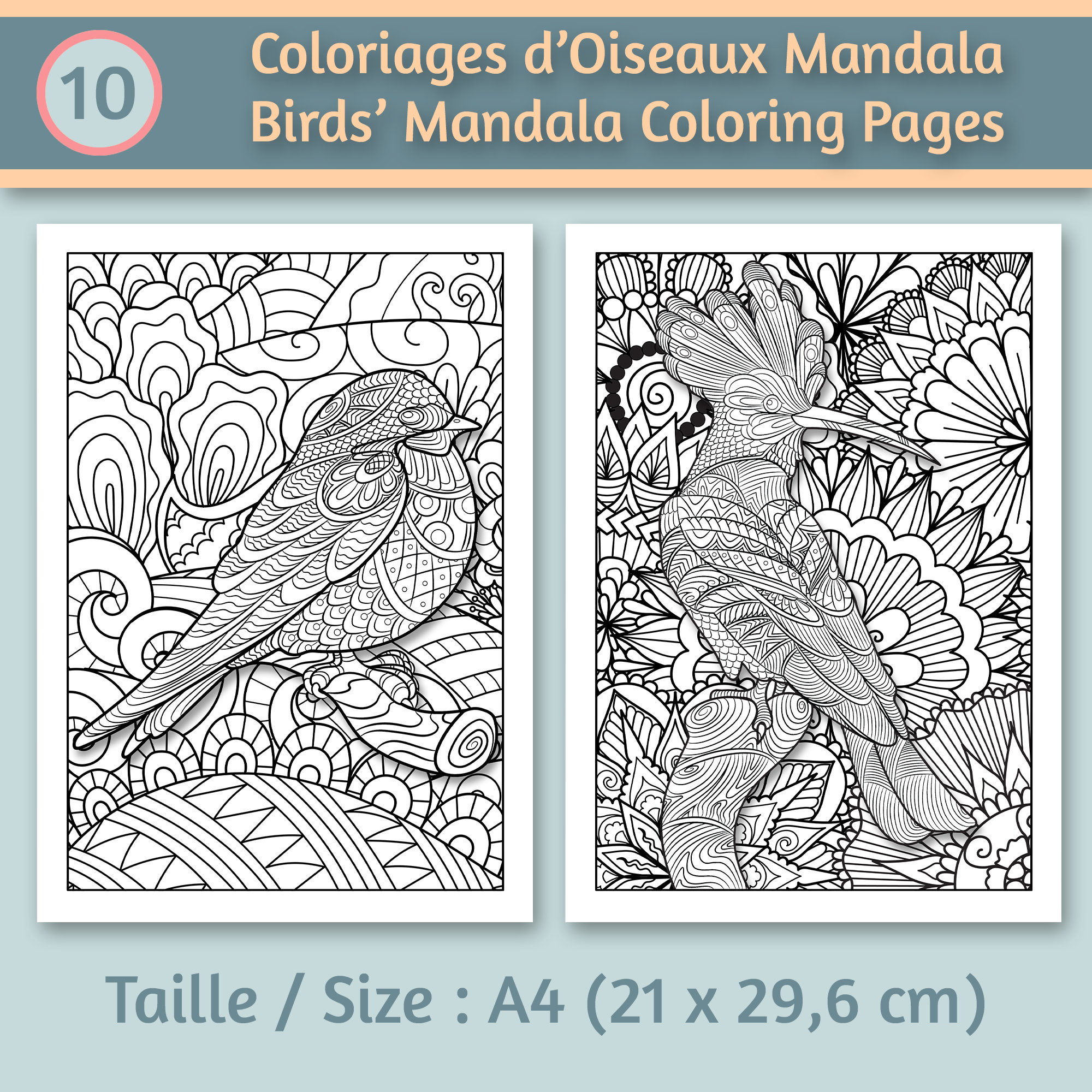 10 Coloring Birds Mandala | Coloring Book Adult | Coloring Book Pdf ...