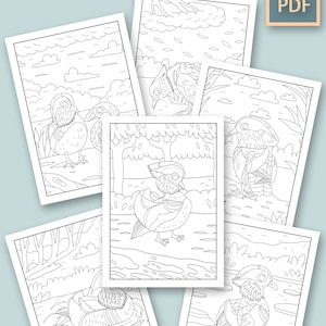 6 Mandarin Duck Birds Coloring Pages for Kids | Coloring Book for Kids ...