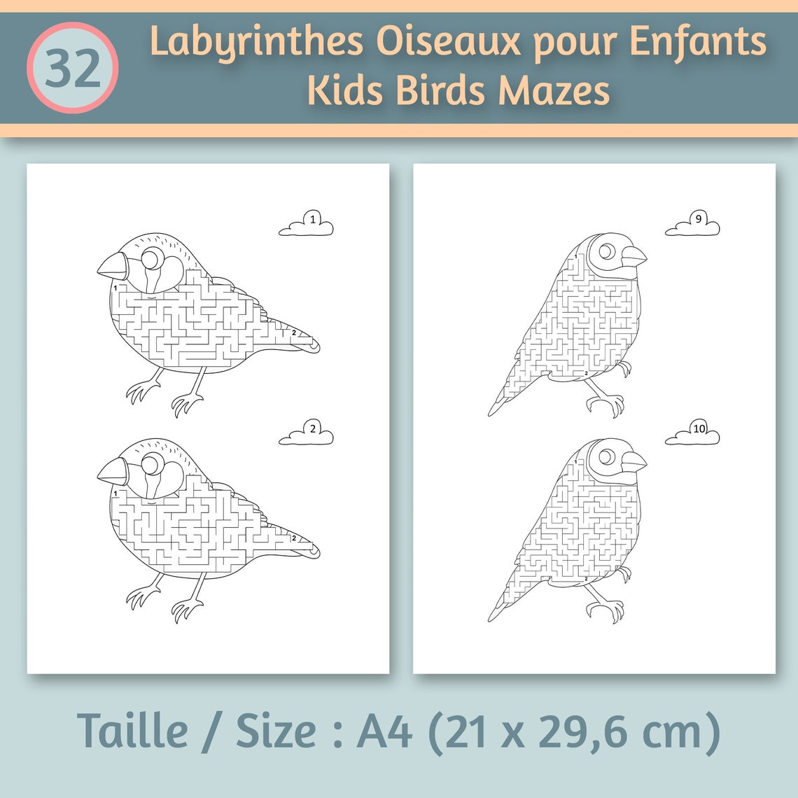 32 Birds Mazes for Kids | Maze Digital PDF | Maze Activity for Kids ...