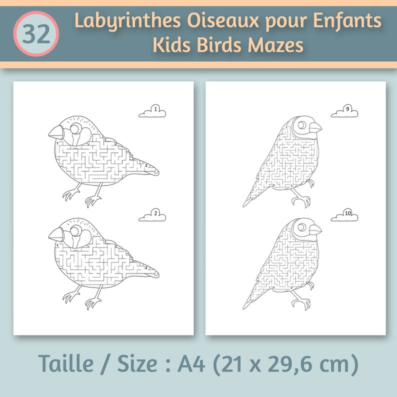32 Birds Mazes for Kids | Maze Digital PDF | Maze Activity for Kids ...
