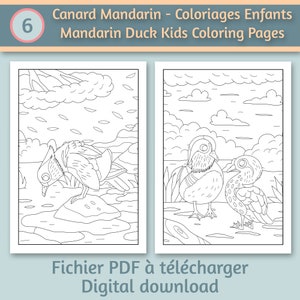 6 Mandarin Duck Birds Coloring Pages for Kids | Coloring Book for Kids ...