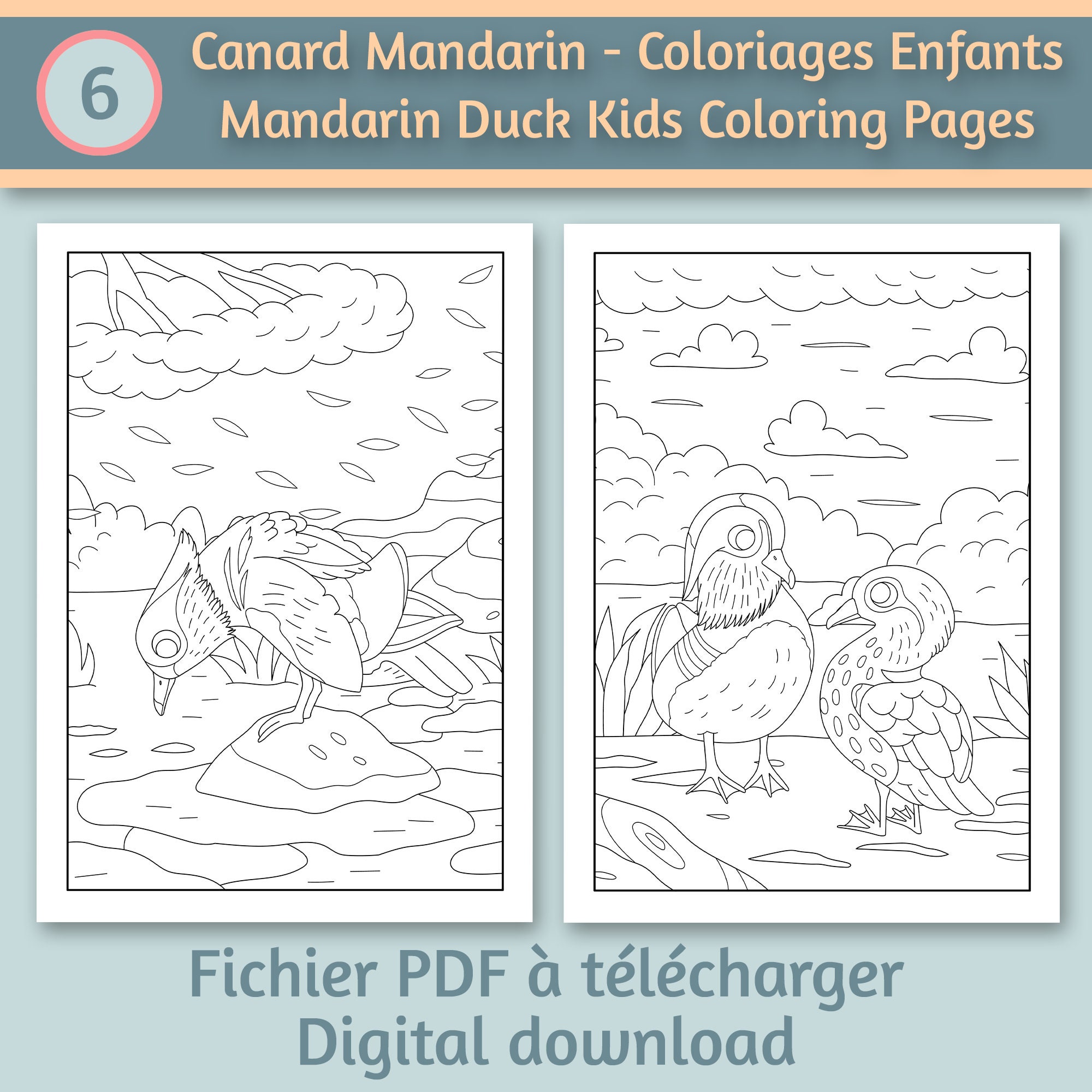 6 Mandarin Duck Birds Coloring Pages for Kids Coloring Book for Kids ...