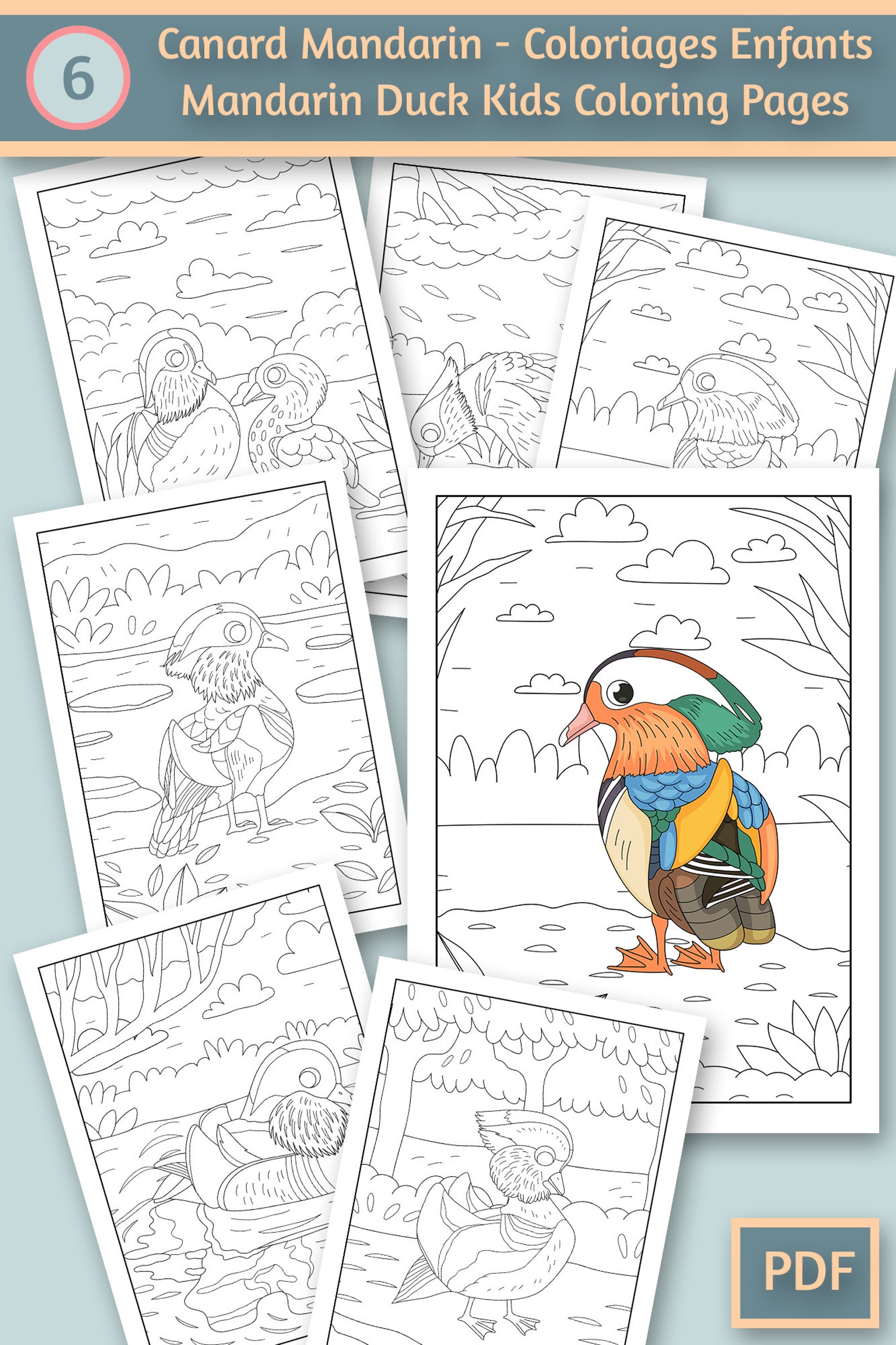 6 Mandarin Duck Birds Coloring Pages for kids Coloring book | Etsy