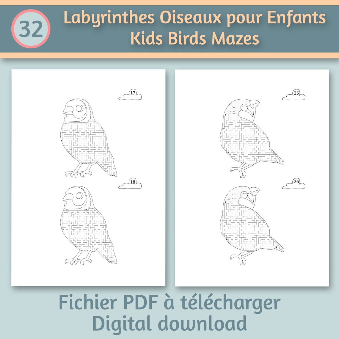 32 Birds Mazes for Kids | Maze Digital PDF | Maze Activity for Kids ...