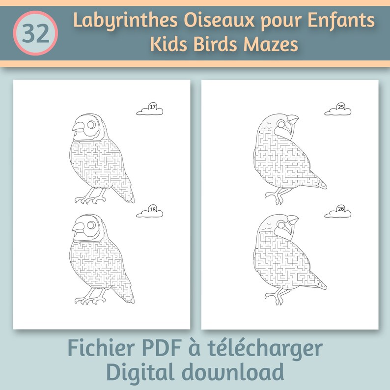 32 Birds Mazes for Kids | Maze Digital PDF | Maze Activity for Kids ...