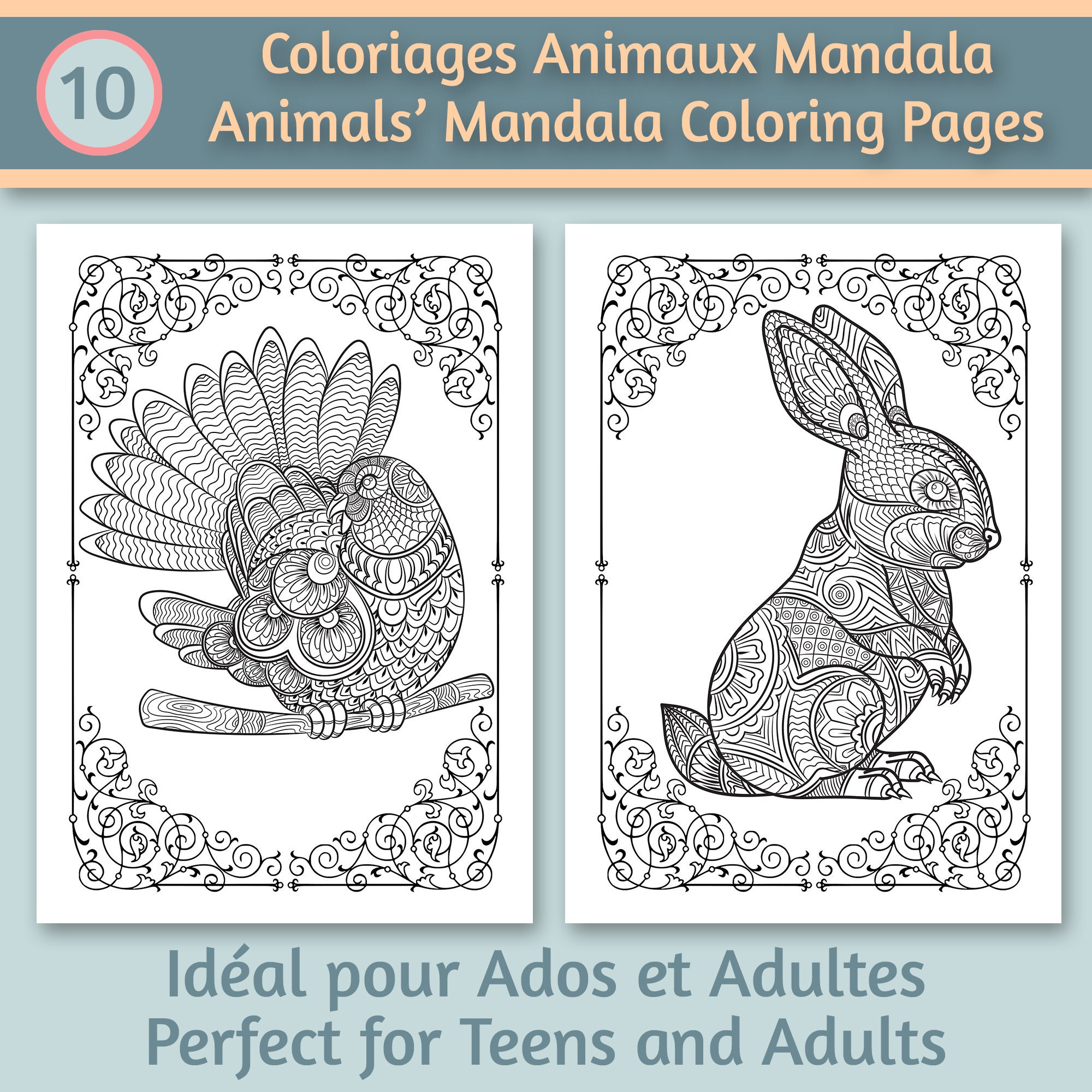 10 Farm Animal Mandalas Coloring Book Adult Coloring Book - Etsy