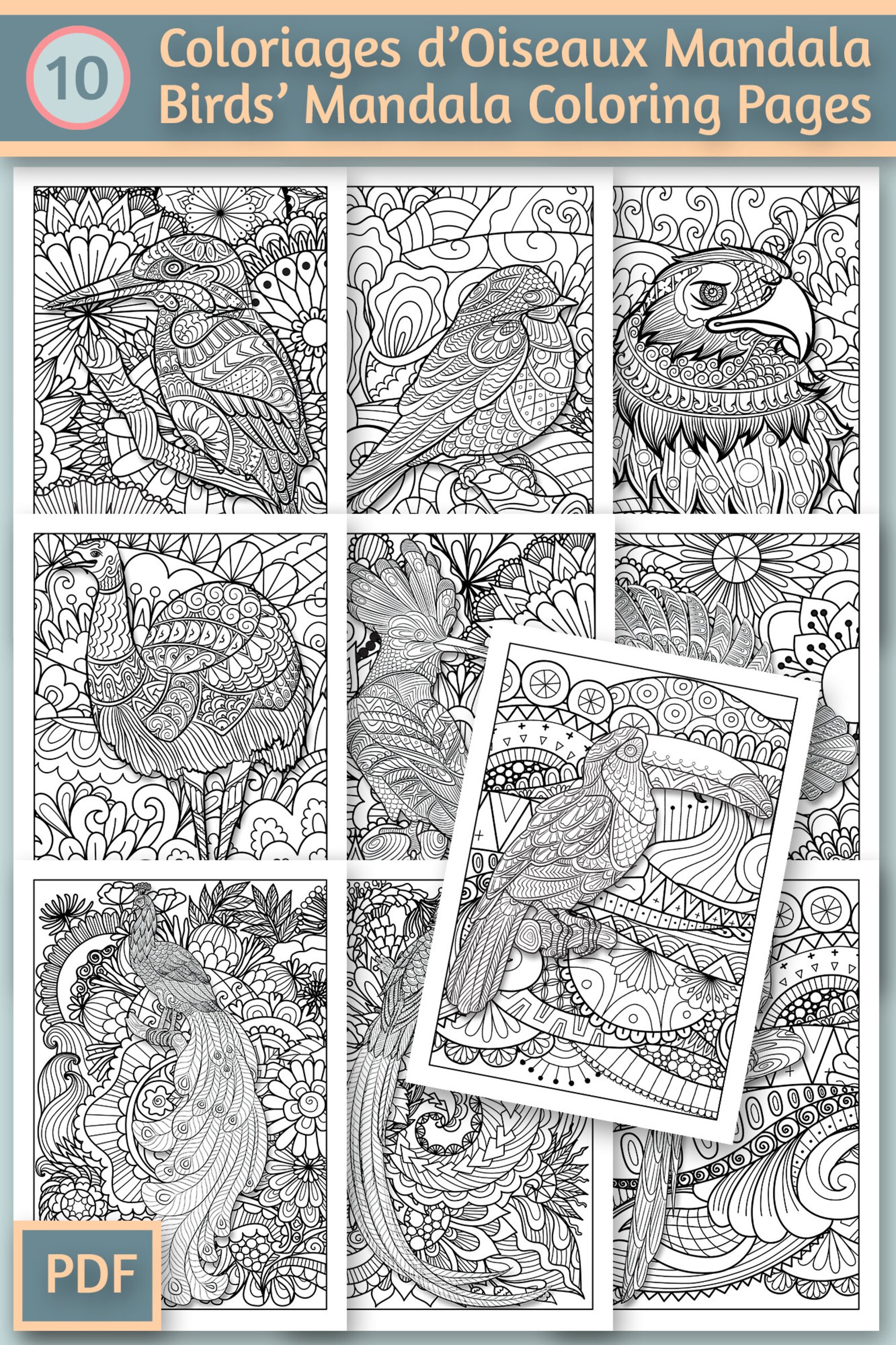 10 Coloring Birds Mandala | Coloring Book Adult | Coloring Book Pdf ...