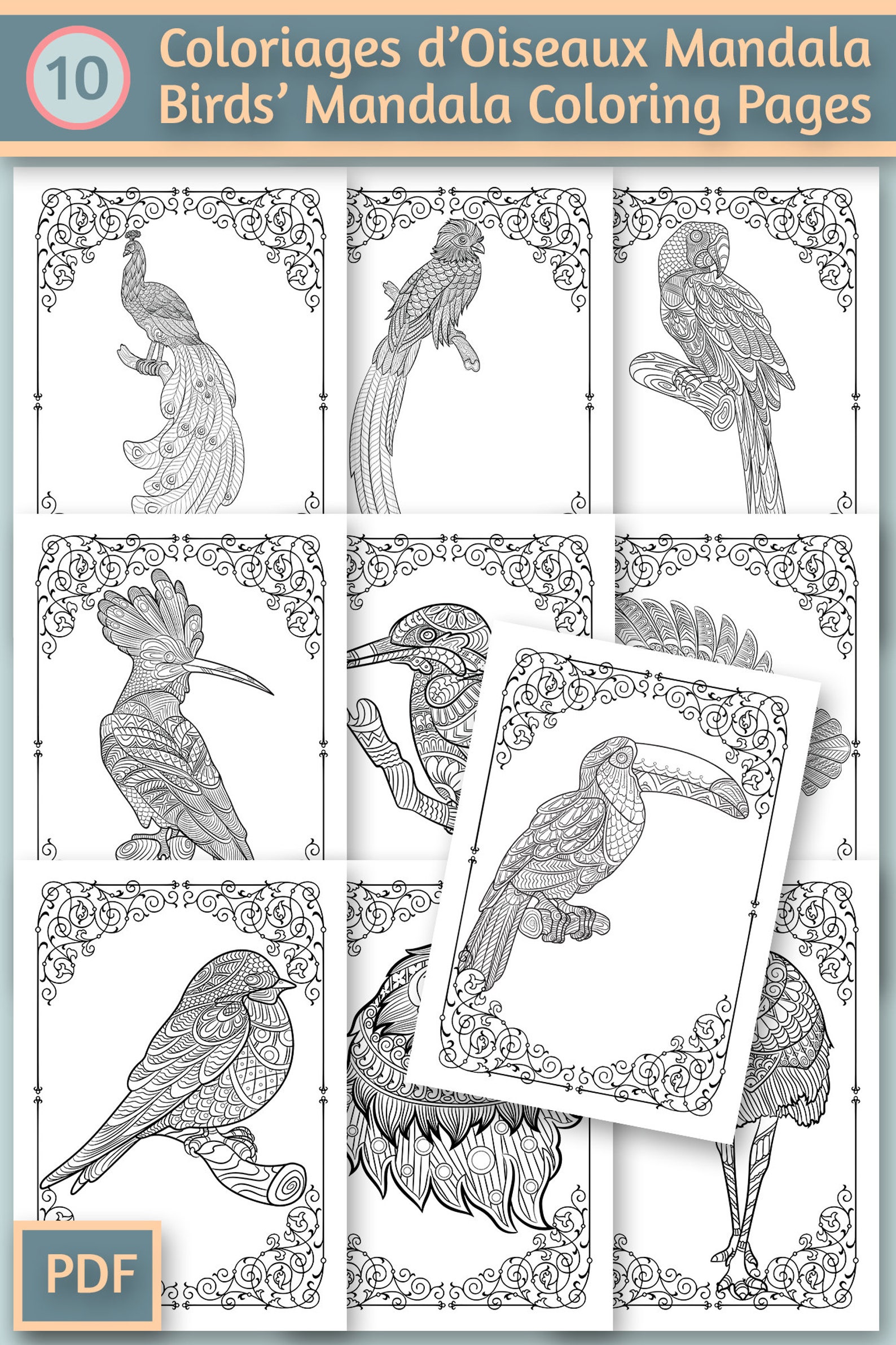 10 Coloring Birds Mandala | Coloring Book Adult | Coloring Book Pdf ...