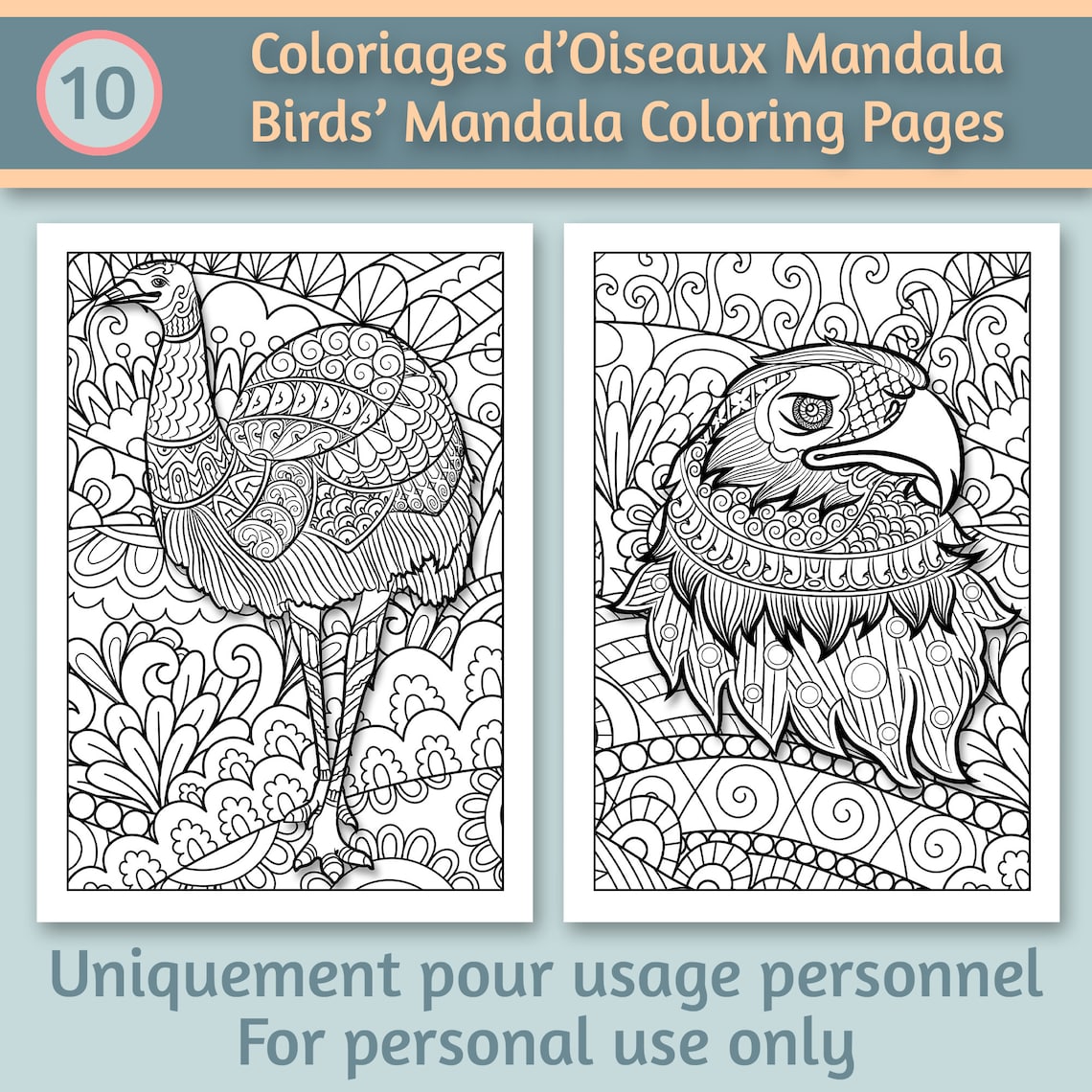 10 Coloring Birds Mandala | Coloring Book Adult | Coloring Book Pdf ...
