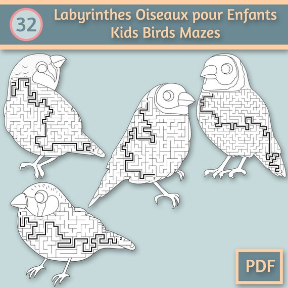 32 Birds Mazes for Kids Maze Digital PDF Maze Activity for - Etsy