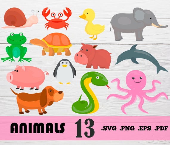 Animals Svg Dog Svg Octopus Svg Elephant Svgsnake Svg | Etsy