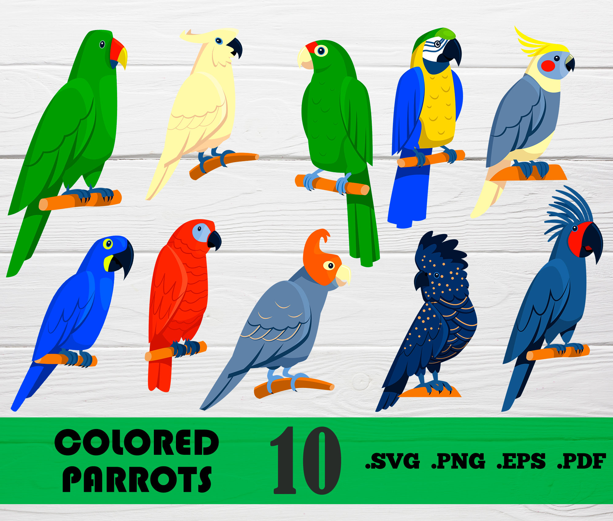 Parrots Svg,parrots SVG, Parrots PNG, Parrots Vector Clipart, Animal ...