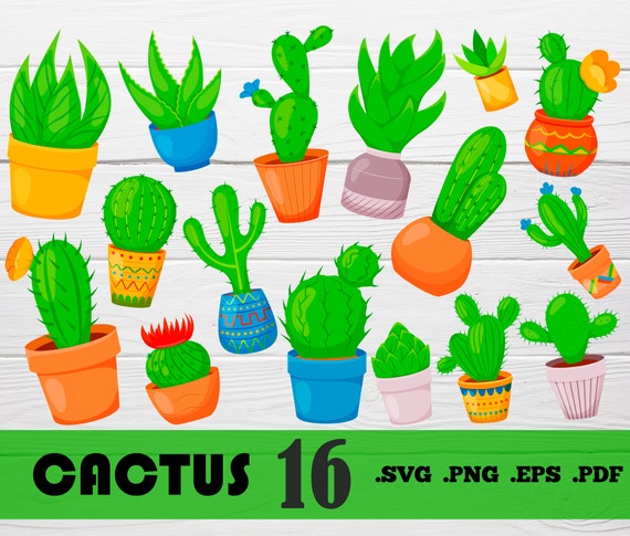 Cactus Svgcactus SVG Cactus Clipart Succulent Svg Cacti - Etsy