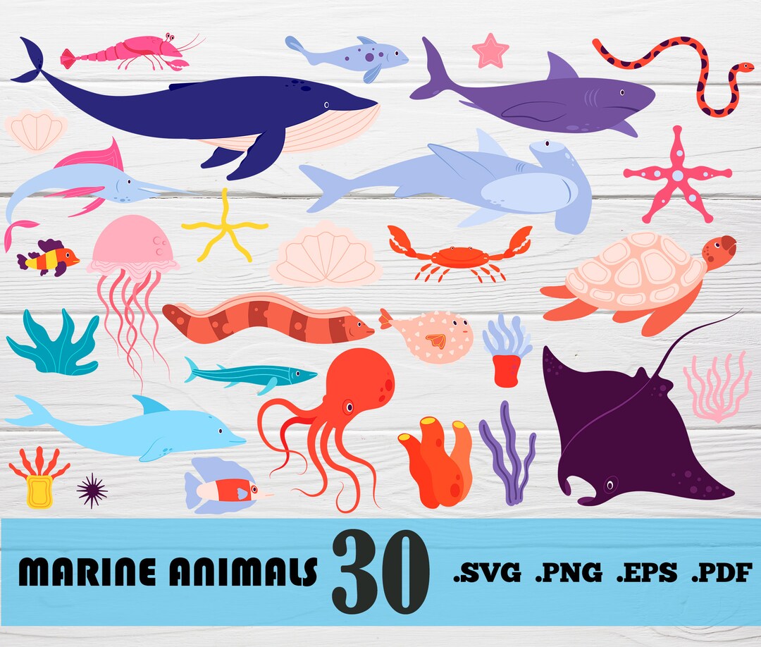 Marine Life Clipart,marine Svg, Ocean Animal Clipart Svg Bundle ...