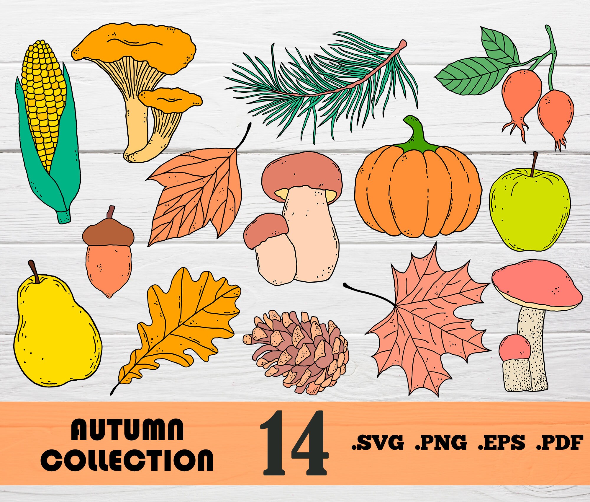 Autumn Collection Svg,autumn Collection Svg,autumn Svg,mushrooms Svg ...