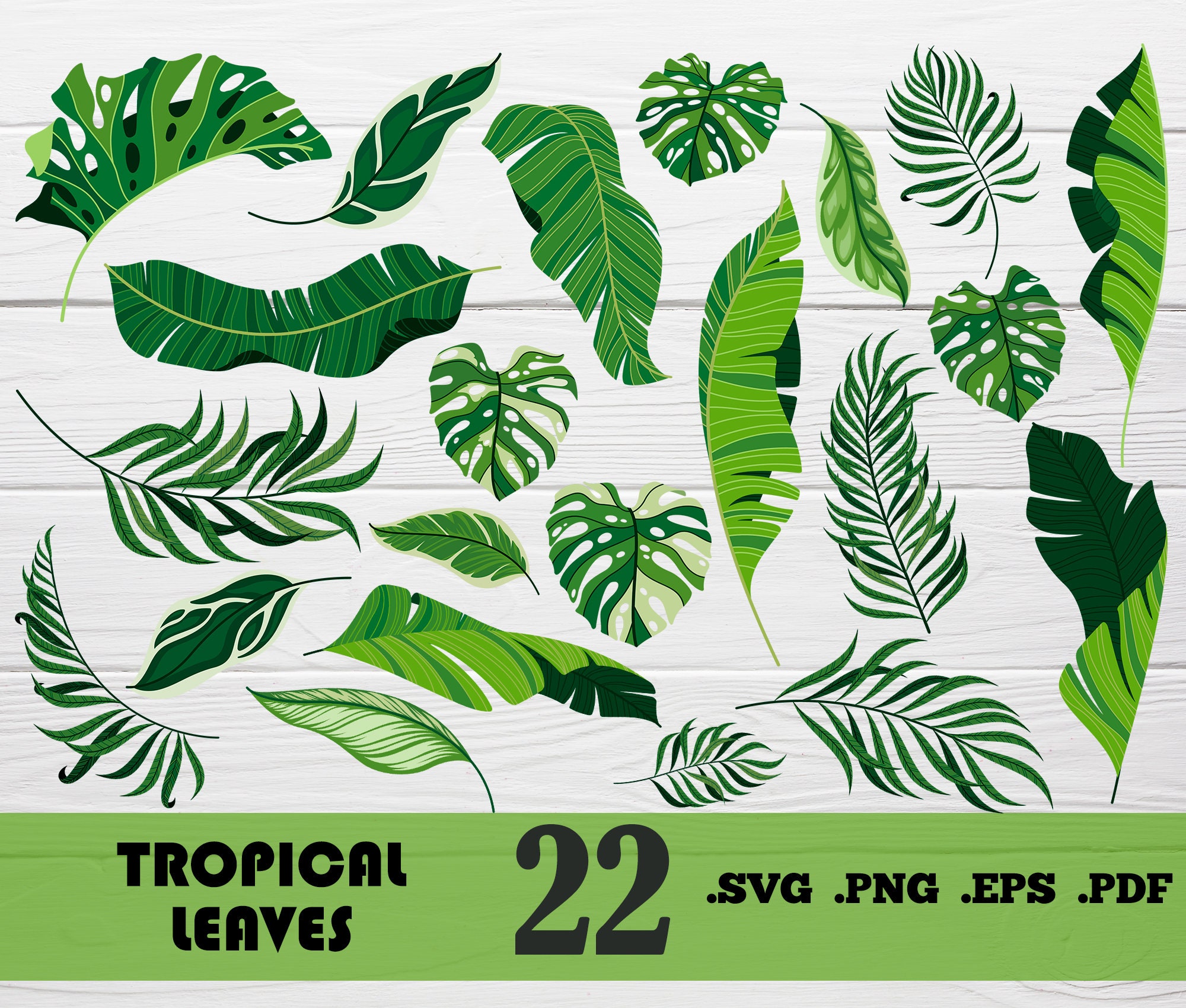 Tropical Leaves Svg Bundle, Tropical Svg, Monstera Svg, Tropical Leaf Svg, Palm Leaves Svg, Palm ...