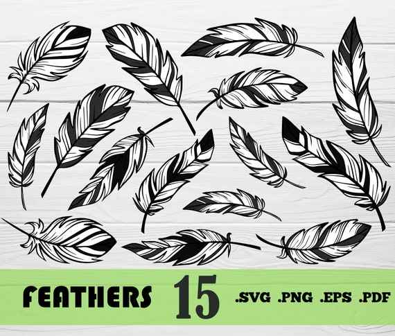Feathers Svgfeather SVG Feather Svg Bundle Feather Clipart | Etsy