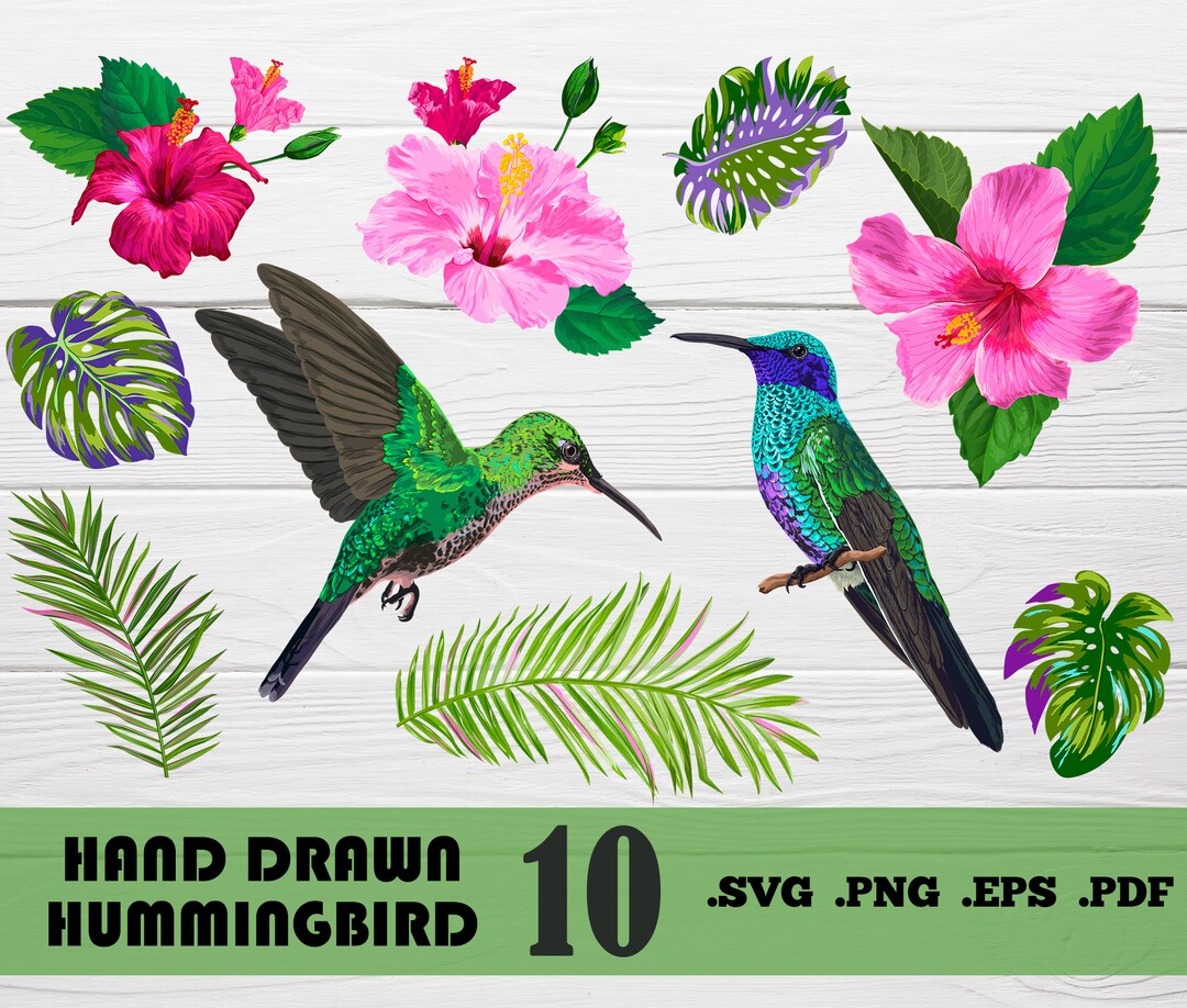 HUMMINGBIRD SVG, Bird Svg, Hummingbird Clipart, Hummingbird File ...