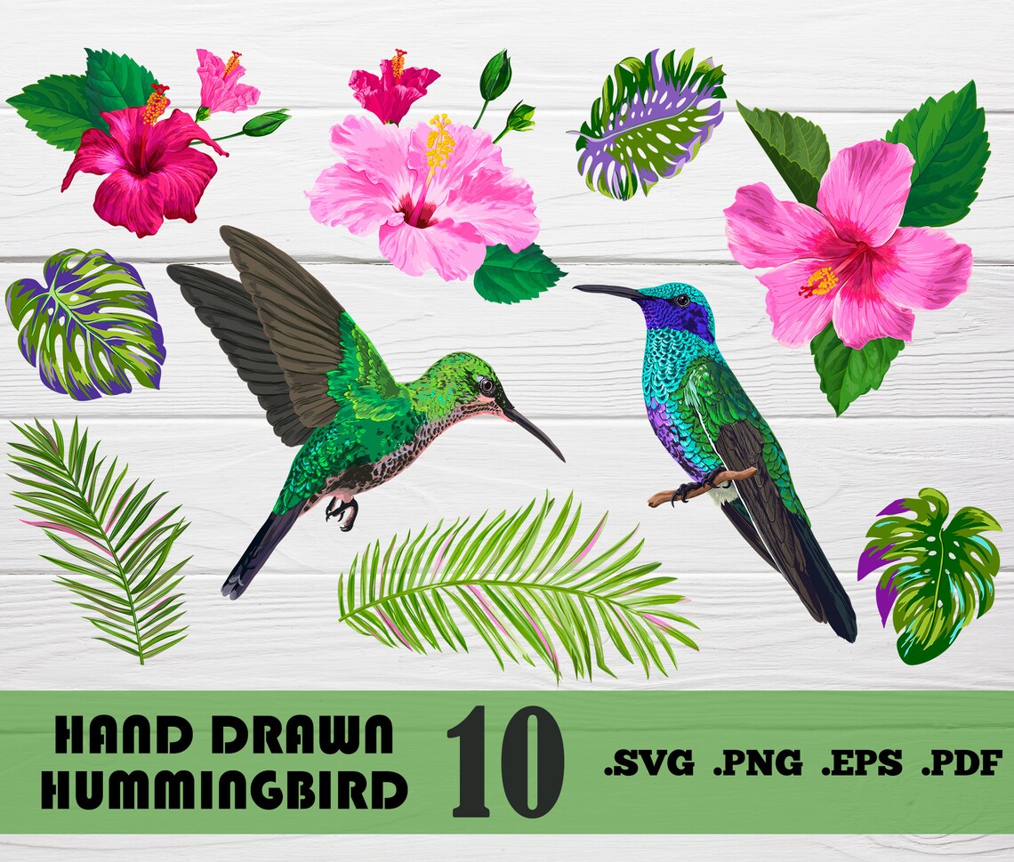 HUMMINGBIRD SVG Bird Svg Hummingbird Clipart Hummingbird - Etsy