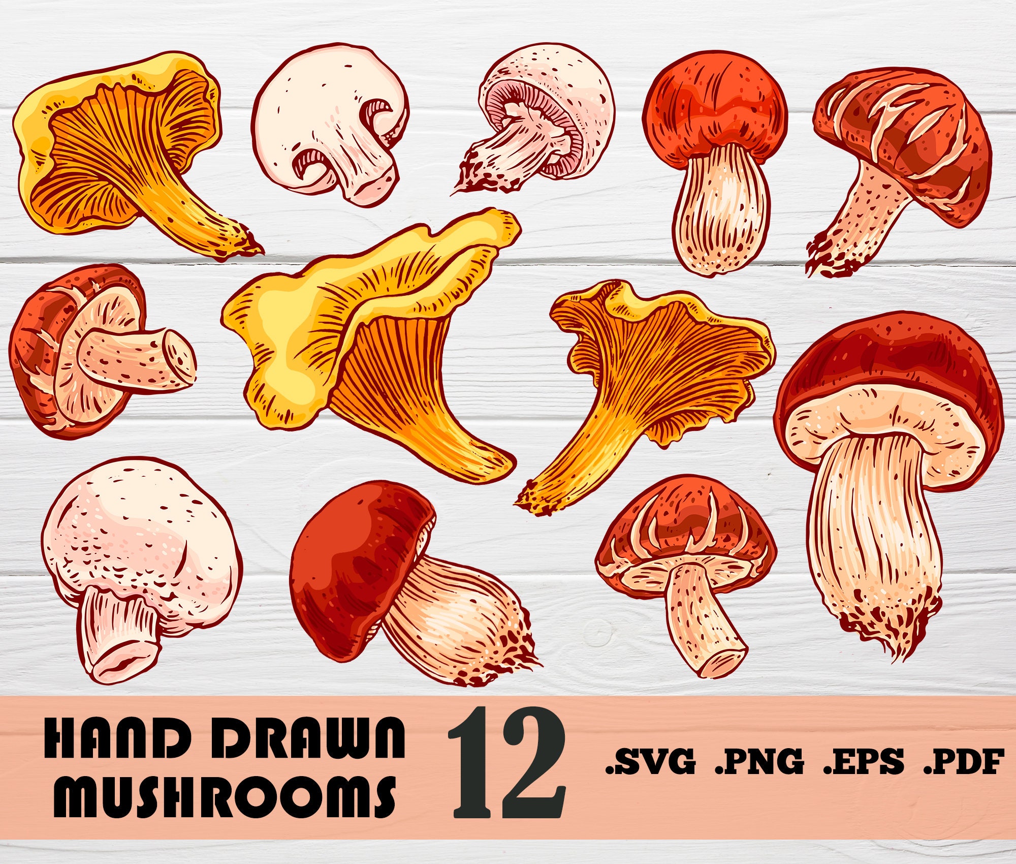 Mushrooms Svg,mushrooms Clipart Collection,mushrooms SVG Bundle ...