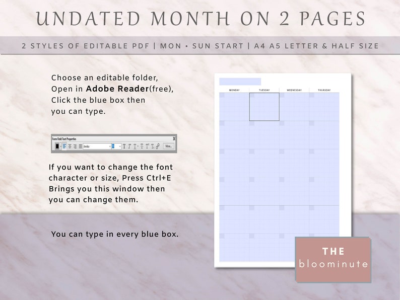 Month on 2 Pages Editable Planner Undated Monthly Planner Fillable PDF ...