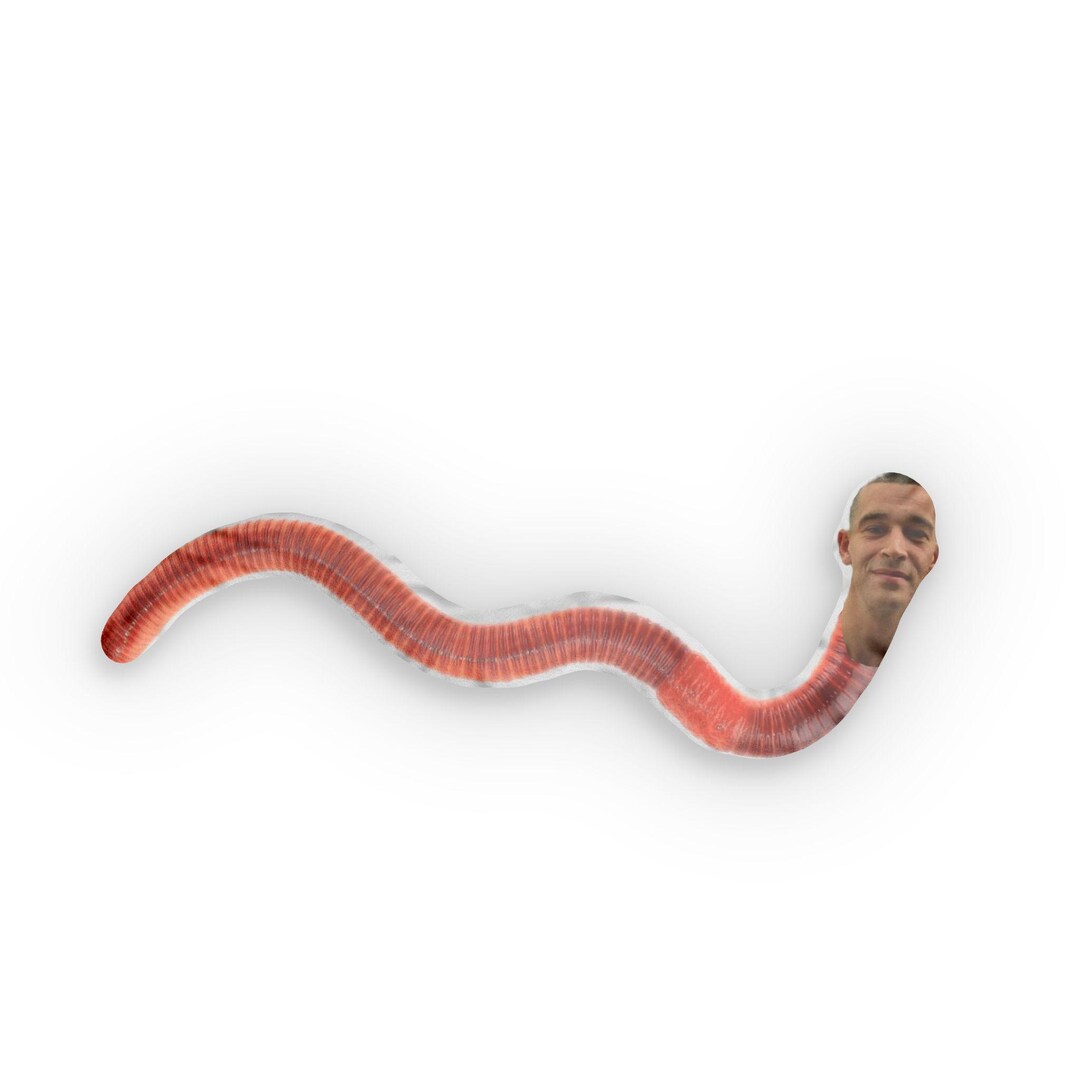 Matty Healy Worm Pillow - Etsy